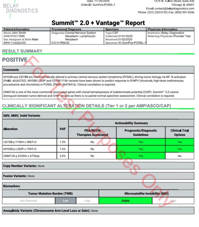 Sample Test Reports - Belay Diagnostics