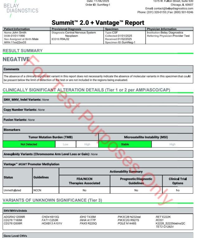 Sample Test Reports - Belay Diagnostics