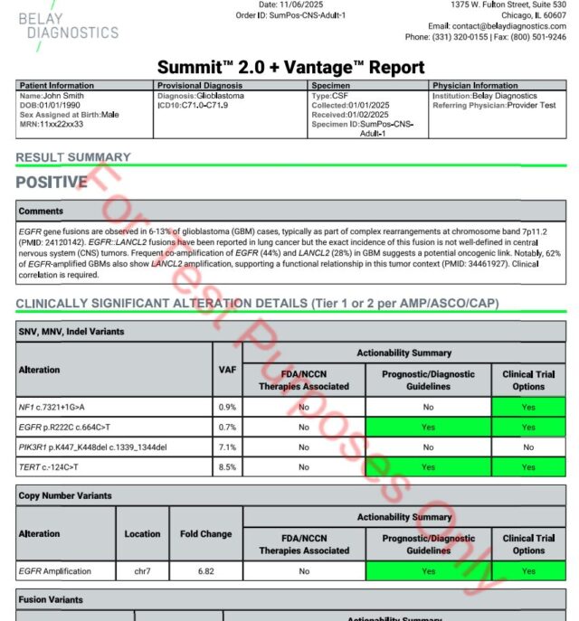 Sample Test Reports - Belay Diagnostics
