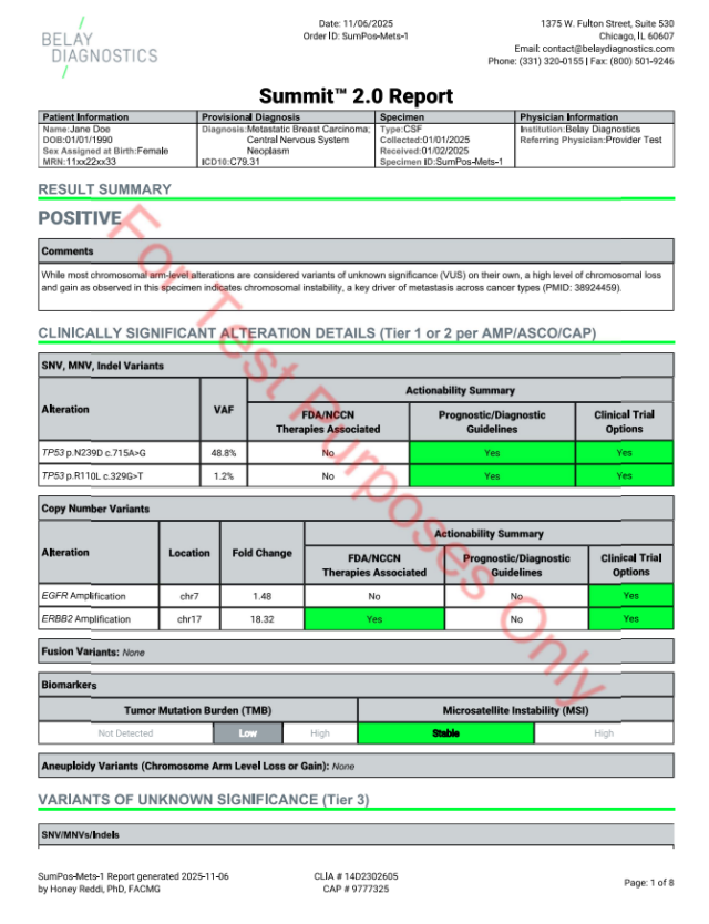 Sample Test Reports - Belay Diagnostics