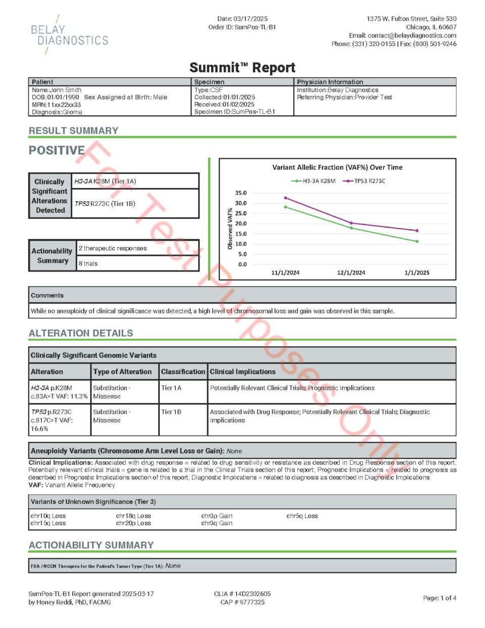 Sample Test Reports - Belay Diagnostics