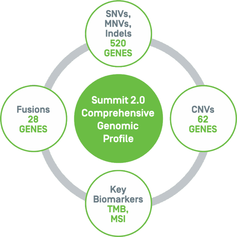 Summit™ 2.0 and Vantage™ for Clinicians - Belay Diagnostics