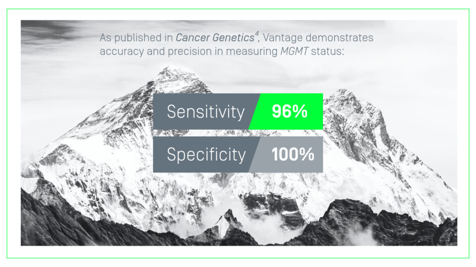Belay Vantage™ - Belay Diagnostics